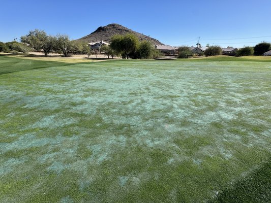 FOOTHILLS GOLF CLUB - Updated April 2026 - 72 Photos & 96 Reviews ...