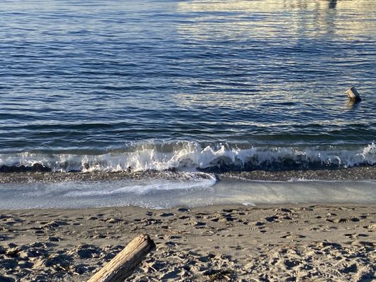 OLYMPIC BEACH - Updated November 2025 - 60 Photos - 200 Admiral Way ...