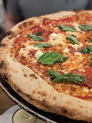 BARDŌ LOCKE STREET - Updated June 2025 - 349 Photos & 314 Reviews - 258 ...