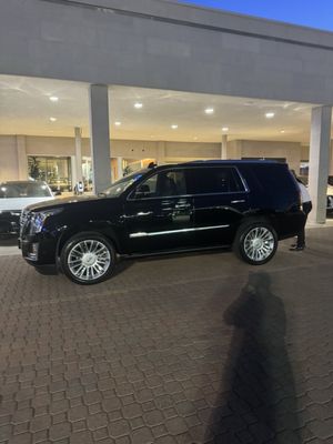 DUTTON MOTOR COMPANY - Updated January 2026 - 92 Photos & 453 Reviews ...