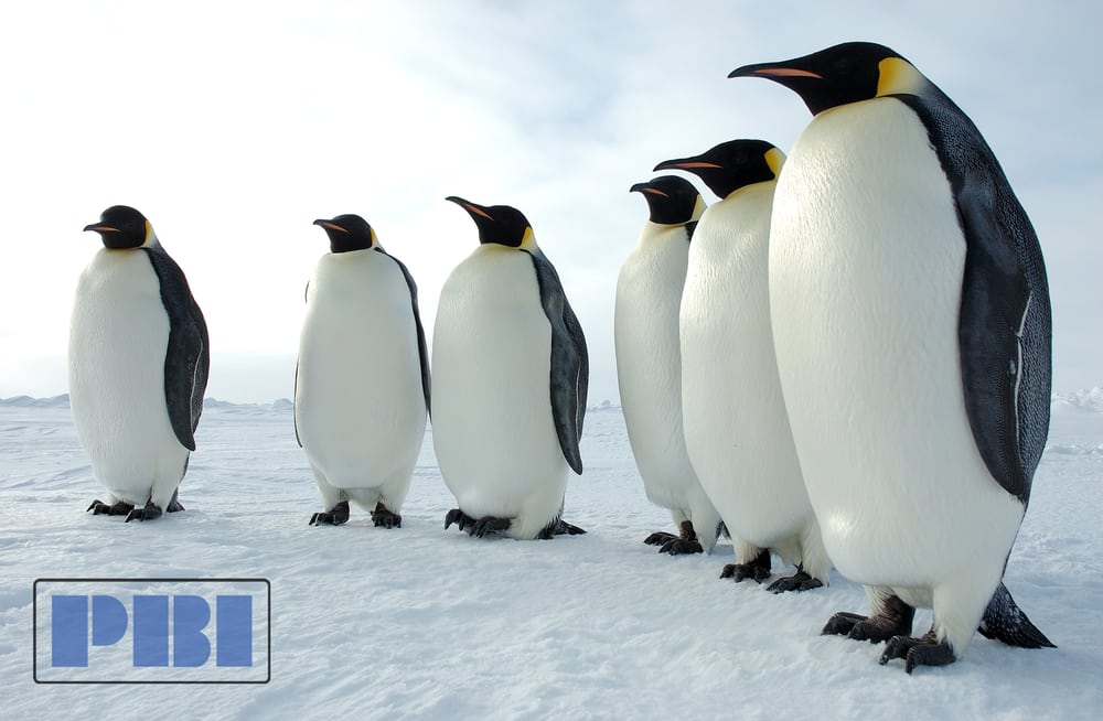 PACIFIC AUTO COMPANY - Updated November 2025 - 25 Photos & 25 Reviews ...