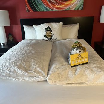 STAYPINEAPPLE - HOTEL FIVE - DOWNTOWN SEATTLE - Updated October 2024 ...