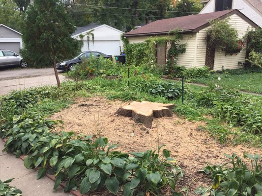 RAINBOW TREECARE - Updated December 2025 - 17 Photos & 35 Reviews ...