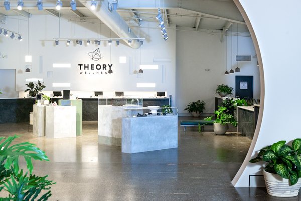 THEORY WELLNESS - CHICOPEE - Updated January 2026 - 13 Photos & 43 ...