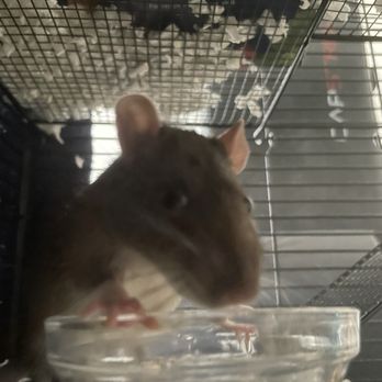 EAST BAY VIVARIUM - Updated January 2025 - 648 Photos & 599 Reviews ...