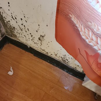 WAVECREST MANAGEMENT - Updated June 2024 - 22 Photos & 77 Reviews - 87 ...