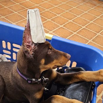 DR. BUTCHKO - Updated August 2024 - 43 Photos & 74 Reviews - 5448 ...