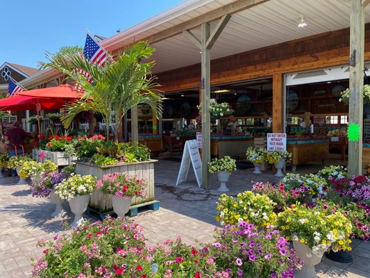 BAYVIEW MARKET & FARMS - Updated May 2025 - 166 Photos & 48 Reviews ...