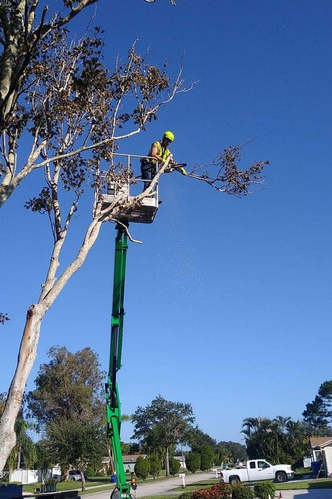 321 CUTZ TREE SERVICE - Updated August 2025 - 29 Photos - Melbourne ...