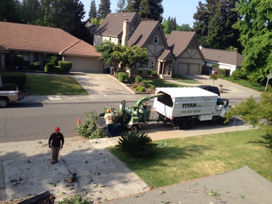 TITAN TREE SERVICE - Updated December 2025 - 27 Photos & 101 Reviews ...