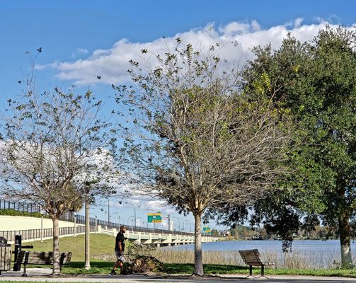 LAKE UNDERHILL PARK - Updated December 2025 - 165 Photos & 37 Reviews ...