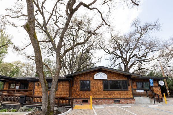 LITTLE CLOUD PEDIATRIC DENTISTRY - Updated December 2025 - 25 Photos ...