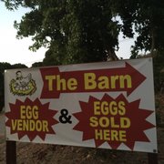 GLAUM EGG RANCH - 57 Photos & 49 Reviews - 3100 Valencia Rd, Aptos, CA ...
