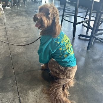 GLOBAL BREW TAP HOUSE - Updated December 2025 - 72 Photos & 74 Reviews ...