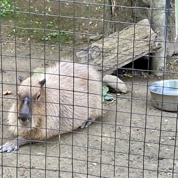 BRANDYWINE ZOO - Updated June 2025 - 177 Photos & 68 Reviews - 1001 N ...