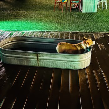 FETCH PARK - Updated May 2025 - 78 Photos & 18 Reviews - 309 Buckhead ...