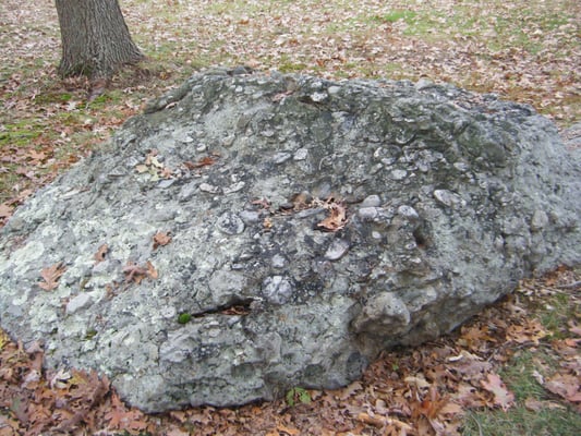 DIGHTON ROCK STATE PARK - Updated June 2026 - 27 Photos - 3rd Ave ...
