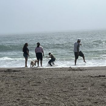 SHAMEL PARK - Updated January 2026 - 124 Photos & 32 Reviews - 5455 ...