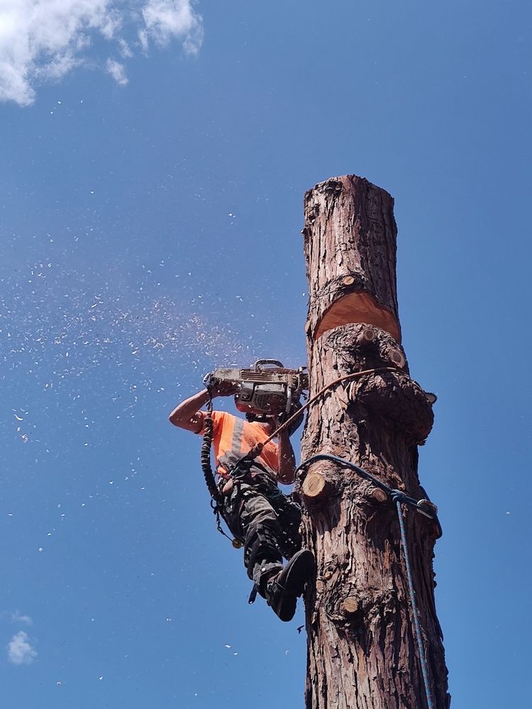 ADAM CHRISTOPHER TREE CARE - Updated February 2025 - Bend, Oregon ...