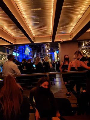 VICE - Updated February 2025 - 326 Photos & 279 Reviews - 500 Pearl St ...