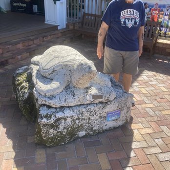 GREEN TURTLE INN - Updated February 2025 - 626 Photos & 624 Reviews ...