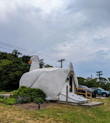 THE BIG DUCK - Updated September 2025 - 136 Photos & 70 Reviews - 1012 ...