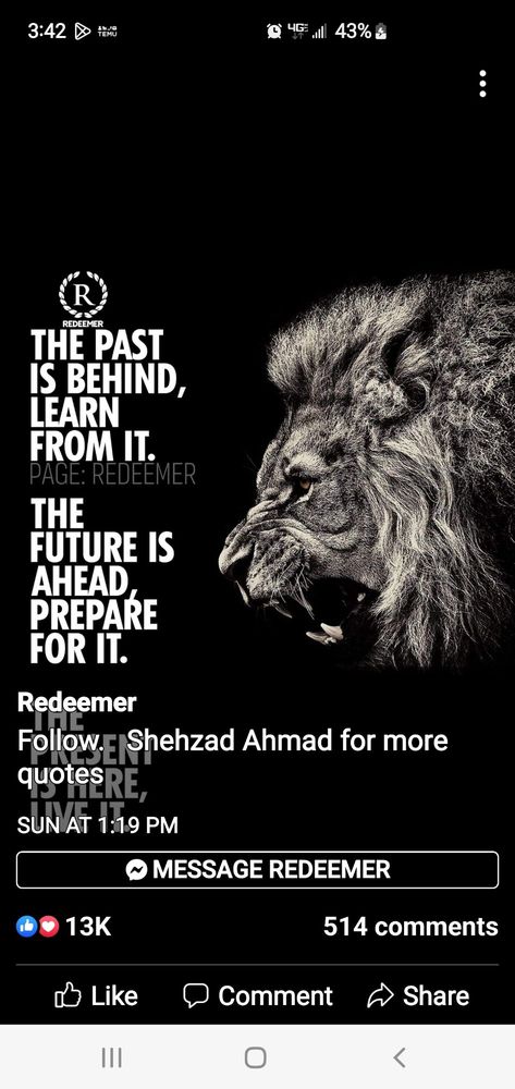 BIGCATOFFERS PRESSURE WASHING AND YARD CUTS - Updated November 2024 ...