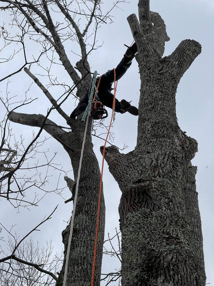 SONS OF THUNDER TREE SERVICE - Updated July 2025 - Machias, Maine ...