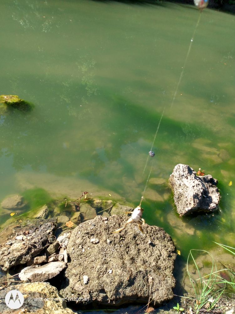 JADE’S NATURE ADVENTURES - Updated September 2024 - 75 Photos - Paxico ...