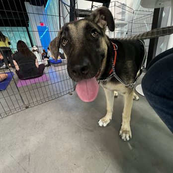 MERCY FULL PROJECT - Updated December 2025 - 31 Photos & 27 Reviews ...