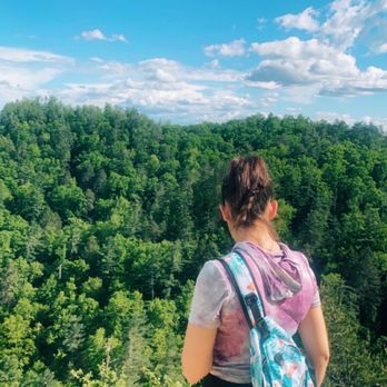 NATURAL BRIDGE STATE RESORT PARK - Updated July 2025 - 240 Photos & 35 ...