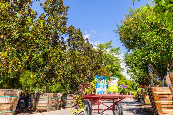 MOON VALLEY NURSERIES - Updated October 2025 - 108 Photos & 76 Reviews - 7021 Lone Tree Wy ...