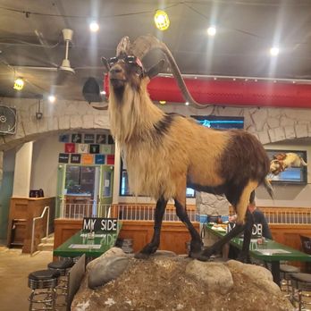 RODEO GOAT - Updated July 2024 - 273 Photos & 198 Reviews - 3111 ...