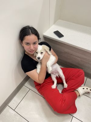 XO PUPS PUREBRED & DESIGNER - Updated September 2025 - 118 Photos & 31 ...