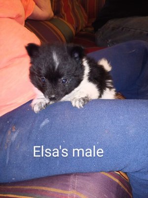 AMERICAN CLASSIFIEDS - Updated September 2025 - 10 Photos - 3900 N 1st ...