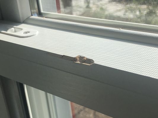 INFINITY EXTERIORS - Updated October 2025 - 52 Photos & 41 Reviews ...