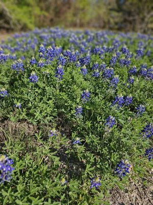 COPPERFIELD NATURE TRAILS - Updated October 2025 - 53 Photos & 15 ...