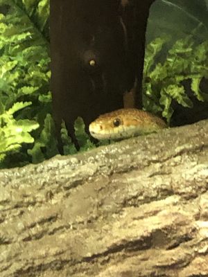 SCIENCE AND MATH INSTITUTE - Updated December 2025 - 5502 Five Mile Dr ...