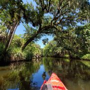 TURKEY CREEK SANCTUARY - 205 Photos & 37 Reviews - 1518 Port Malabar ...