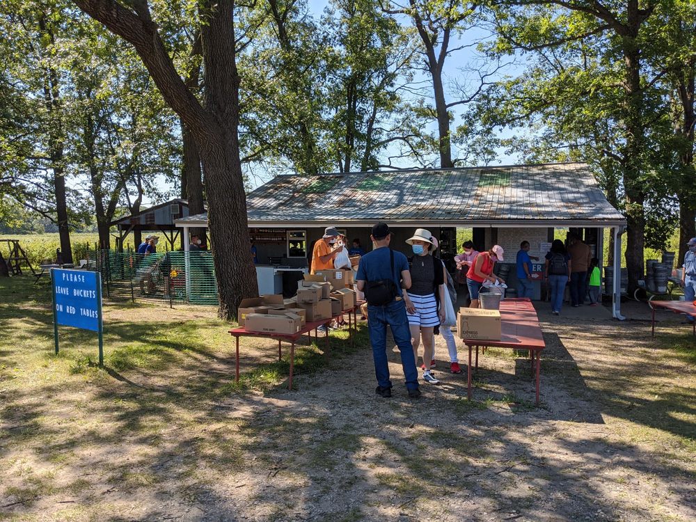 TAMMEN TREEBERRY FARM - 12 Photos & 13 Reviews - 37131 Essex Rd ...