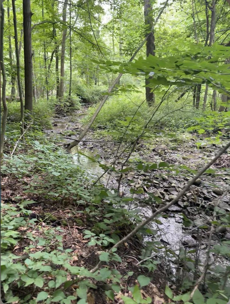 IROQUOIS MUSEUM - Updated October 2025 - 29 Photos - 324 Caverns Rd ...