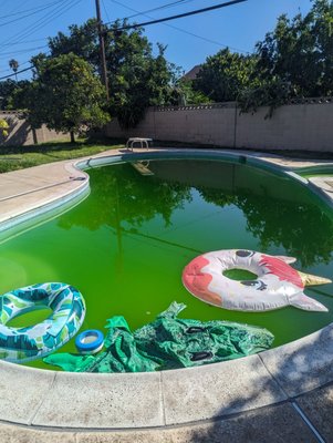 THE POOL NERD - Updated October 2025 - 33 Photos & 104 Reviews ...