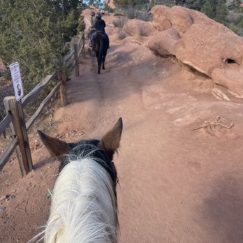 ACADEMY RIDING STABLES - Updated June 2025 - 528 Photos & 290 Reviews ...