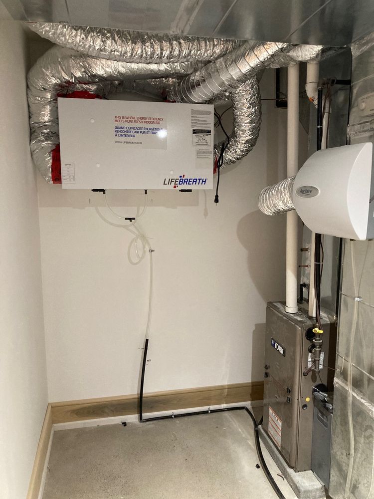 GOOD MOOD OF COMFORT - Updated December 2024 - Request a Quote - 58 ...