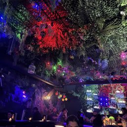 ENDLESS BUMMER - Updated September 2025 - 77 Photos & 18 Reviews - 4500 ...