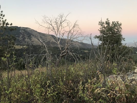 CAMP STEVENS - Updated July 2024 - 73 Photos & 19 Reviews - 1108 Hwy 78 ...