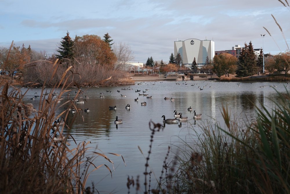 BROADMOOR LAKE - Updated March 2025 - 22-46 Festival Way, Sherwood Park ...