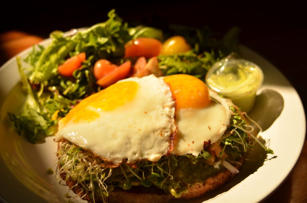 CENOTE - Updated December 2025 - 1151 Photos & 1002 Reviews - 1405 E ...