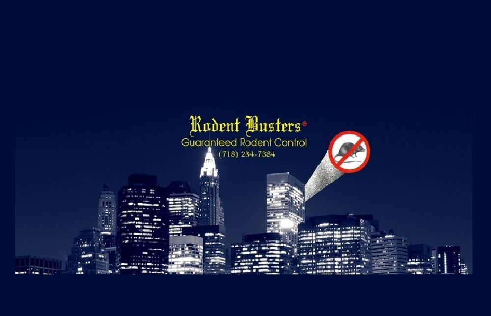 RODENT BUSTERS - 2222 63rd St, Brooklyn, New York - Pest Control ...
