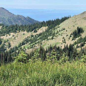 HURRICANE RIDGE - Updated October 2025 - 467 Photos & 106 Reviews - 600 ...